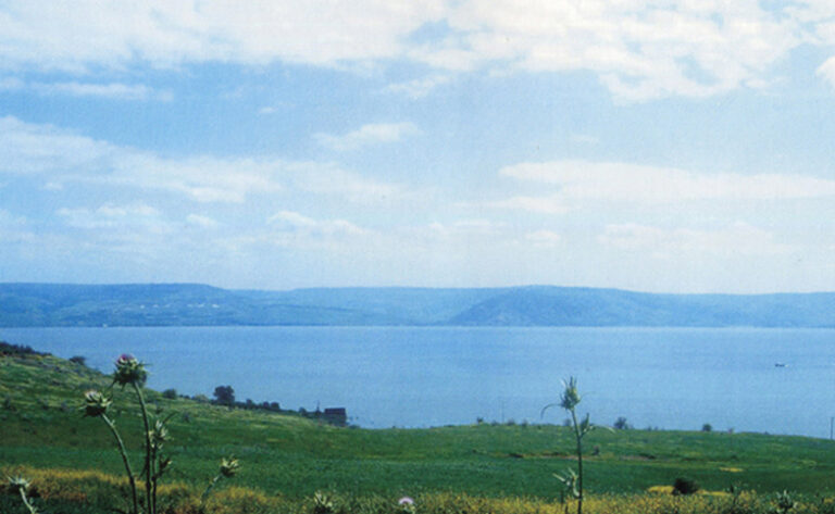 A complete guide to the structure and content of the Bible