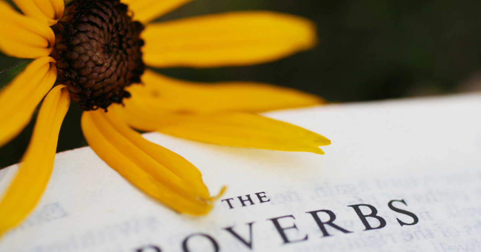 7 moral lessons from biblical proverbs that can shape your character